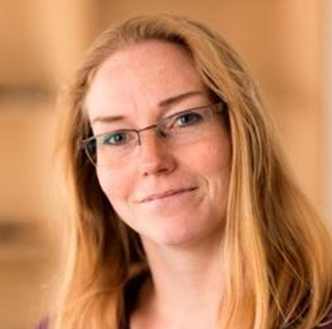 Organisation and People