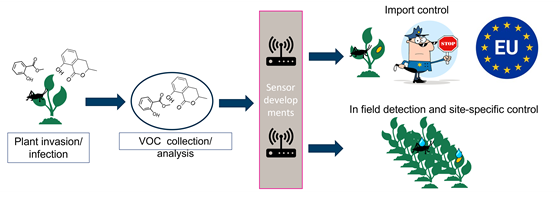 PurPest - Plant pest prevention through technology-guided monitoring and site-specific control ...