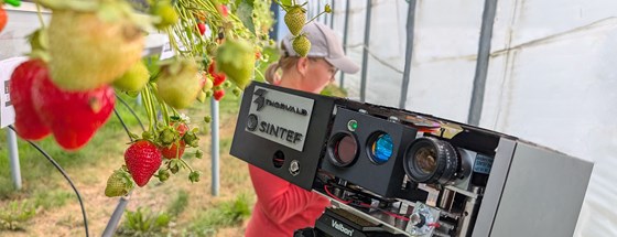 Spectroscopy Lab - SINTEF