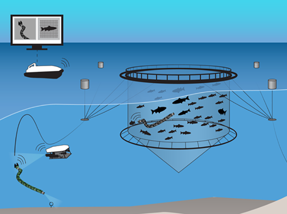RACE Fish-machine interaction - SINTEF