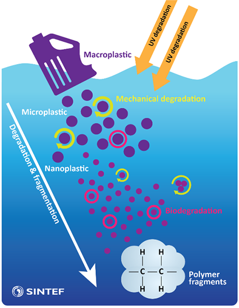 Reveal Formation Of Small Plastic Particles In The Environment And