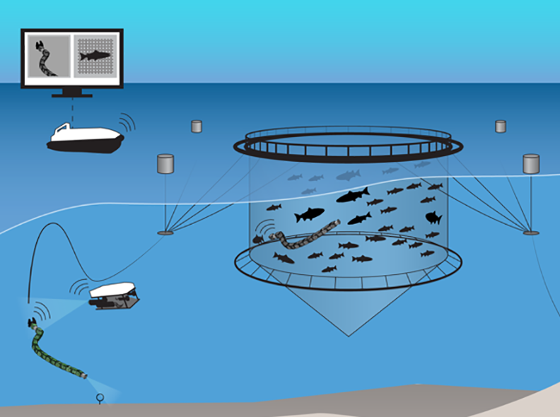 RACE Fish-Machine Interaction - SINTEF