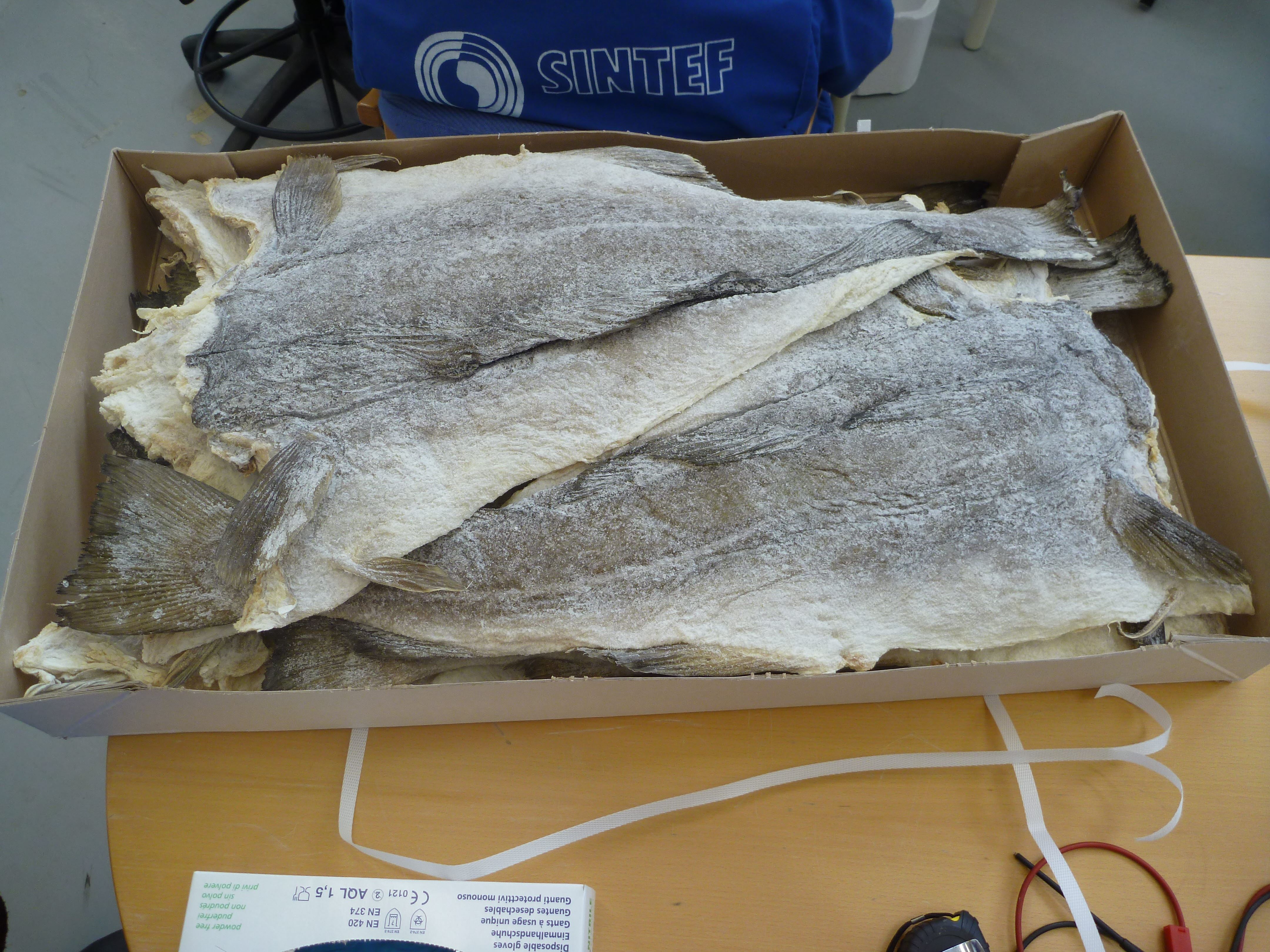 Automatisert pakking av klippfisk og saltfisk - SINTEF