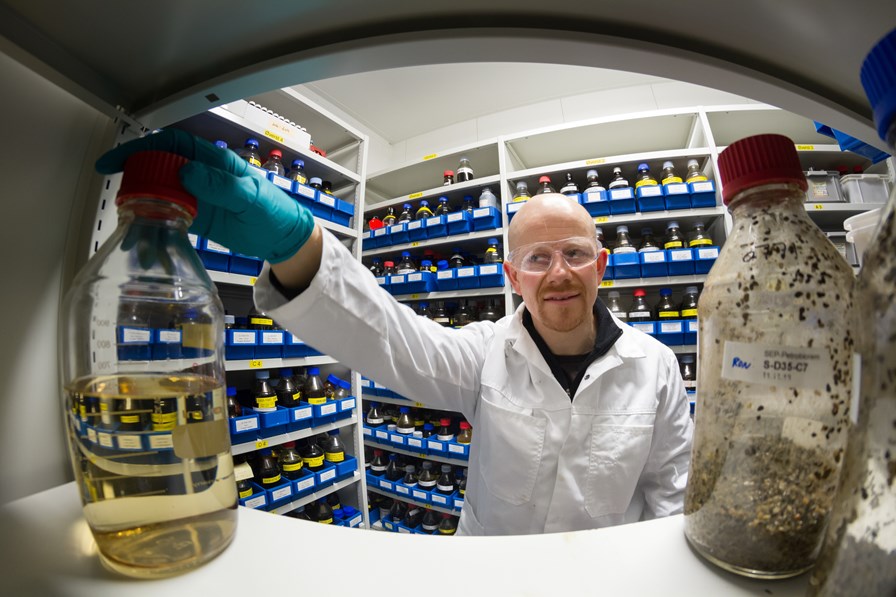 "Super bacteria" cleaning up after oil spills - SINTEF