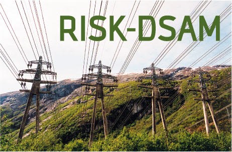 RISK-DSAM Risk-based Distribution System Asset Management - SINTEF