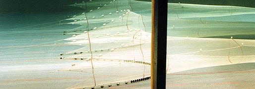 Development of multirig semi-pelagic trawl system - SINTEF