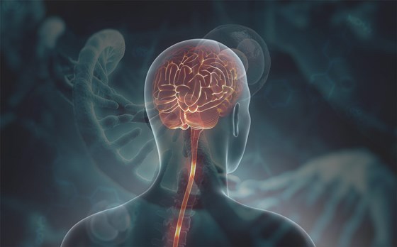 B-SMART - Brain-Specific, Modular and Active RNA Therapeutics - SINTEF