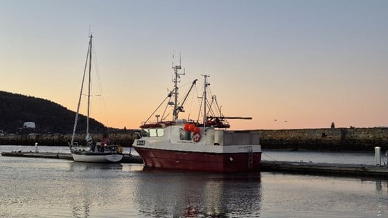 Climate-friendly and energy-efficient cooling in small fishing vessels ...