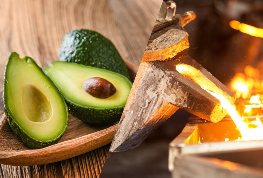 Turning industrial waste heat into avocados - SINTEF