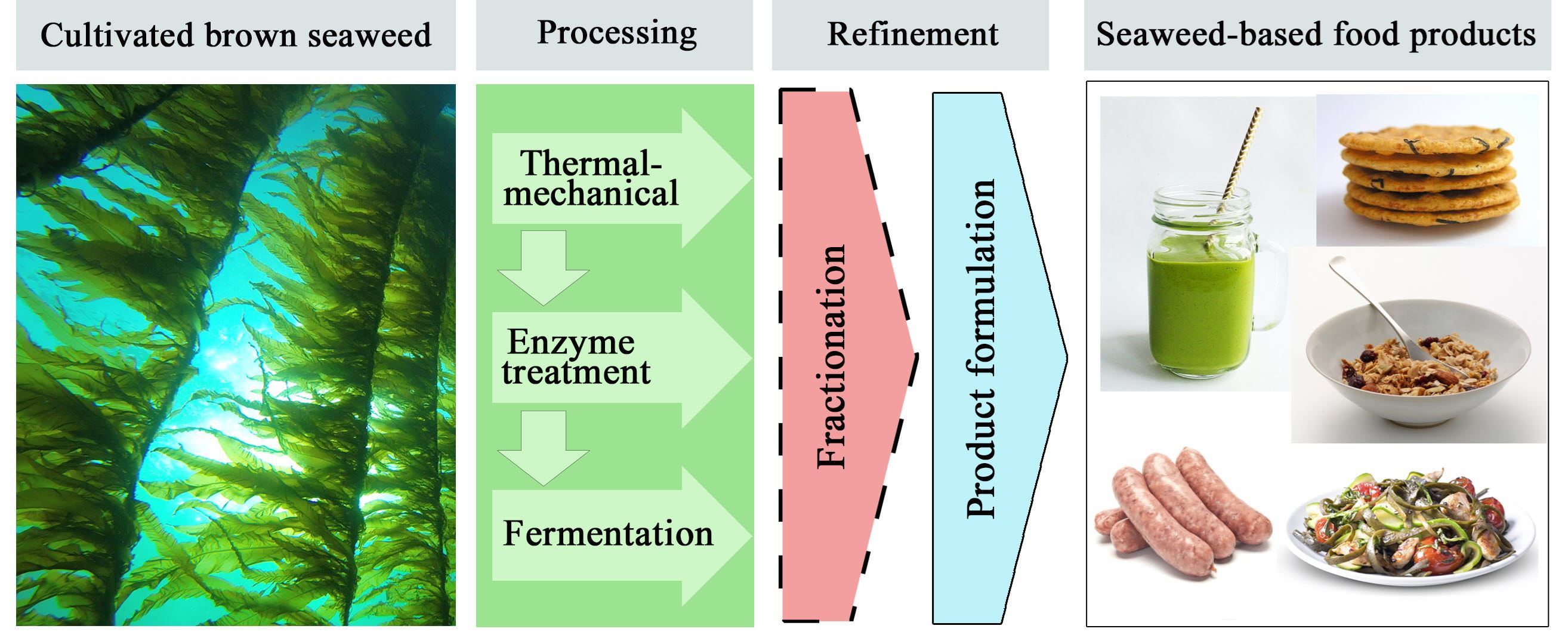 ProSeaFood - Innovative processing of seaweed for novel, healthy food ...