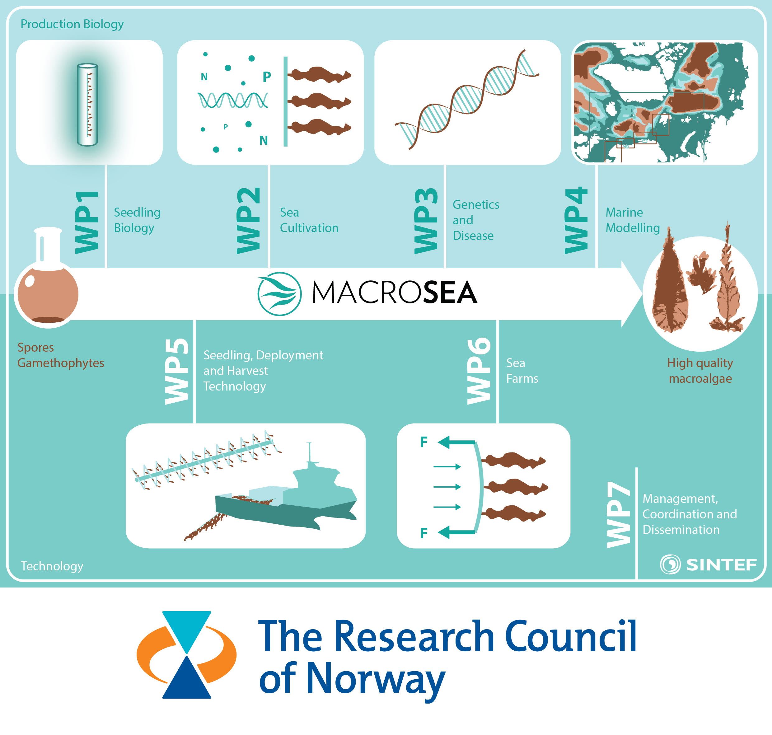 Macrosea - industrial macroalgae cultivation