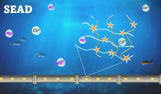 SEAD - Tunable and durable seawater adhesives - SINTEF