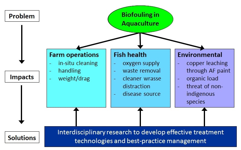 About biofouling - SINTEF