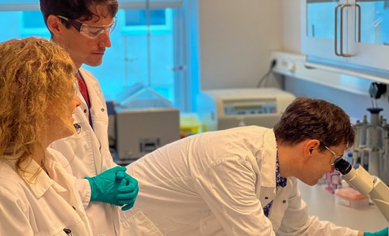 Research into disease prevention instead uncovers a method of repairing ...